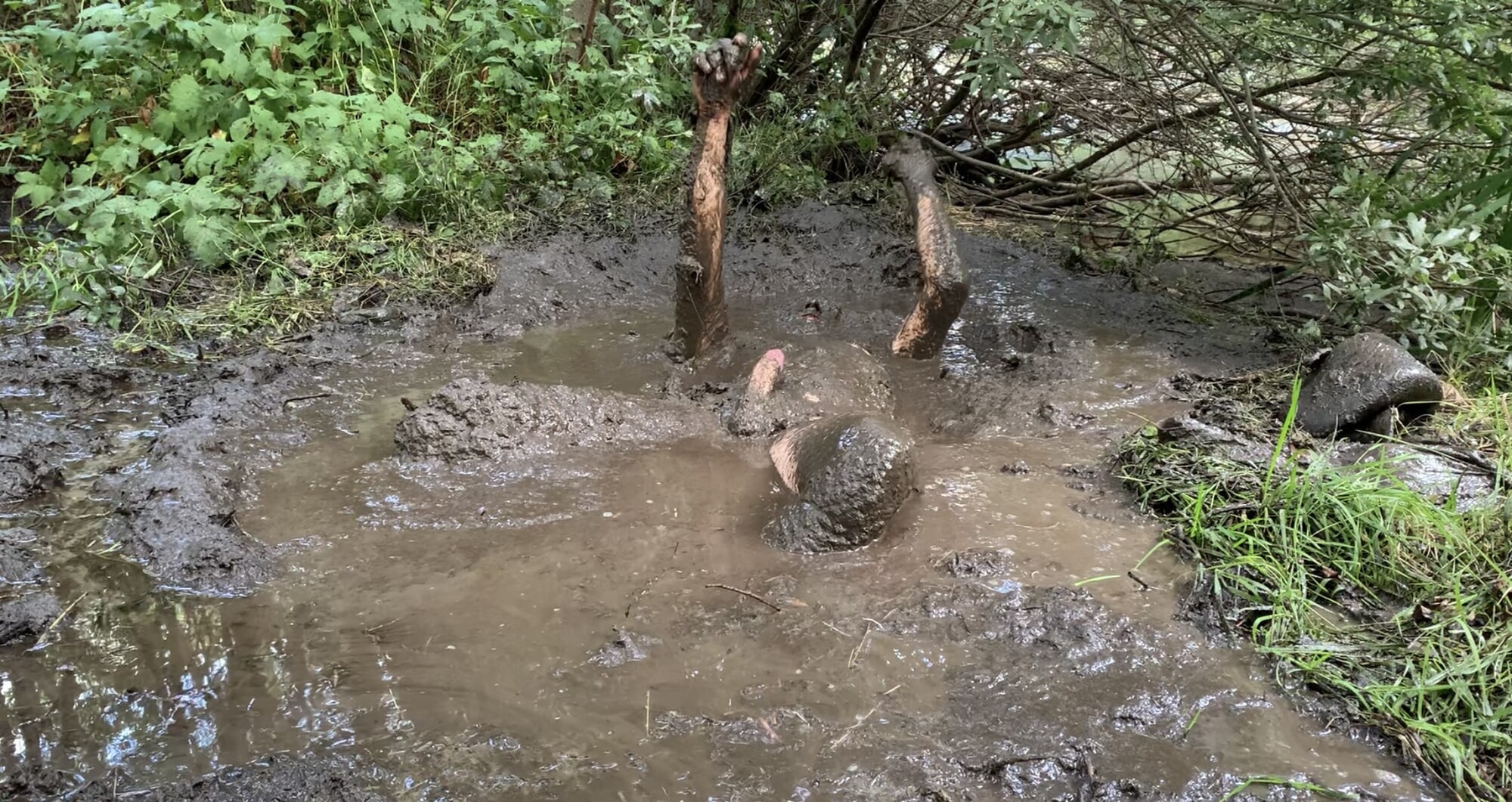 Mud Mud Mud 38 Pics Xhamster 5076