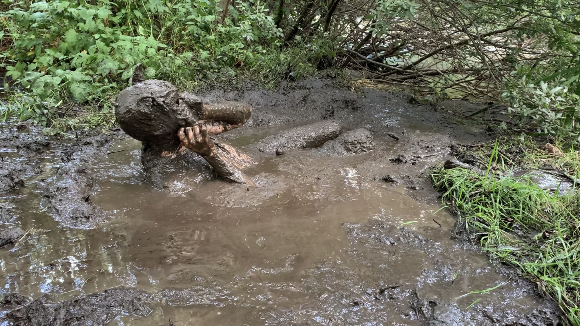Mud Mud Mud 38 Pics Xhamster 4358