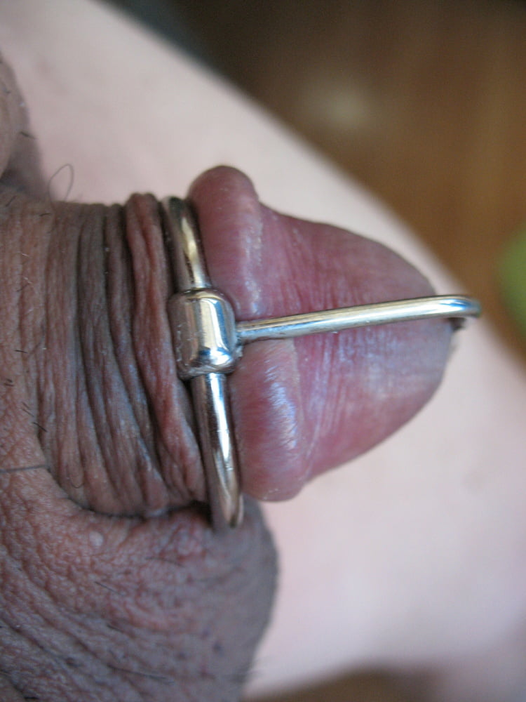 More Steel In My Cock With Glans Ring 177 Pics 2 Xhamster